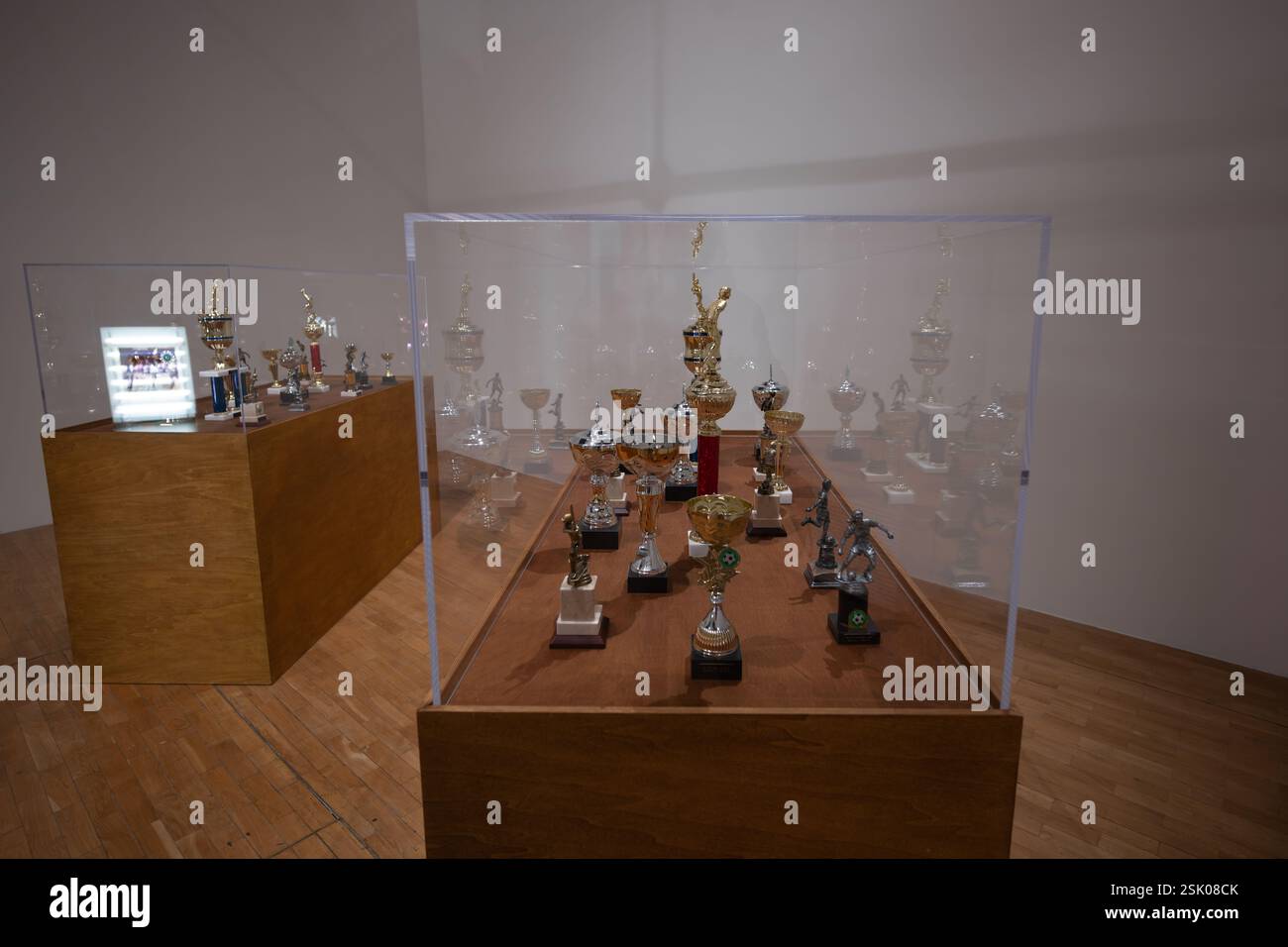 London, UK, 11th February 2025, Donald Rodney: Visceral Canker ...