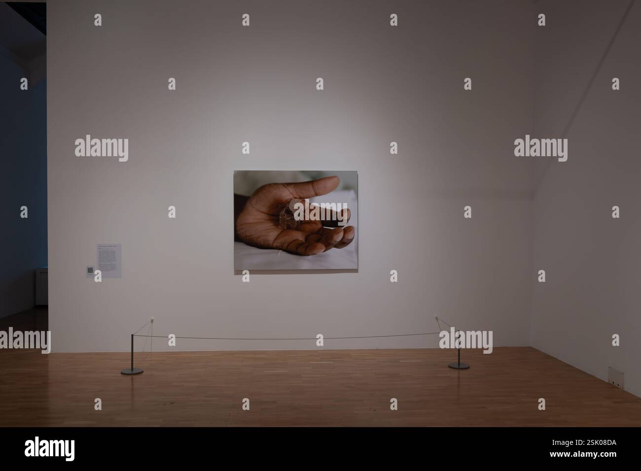 London, UK, 11th February 2025, Donald Rodney: Visceral Canker ...