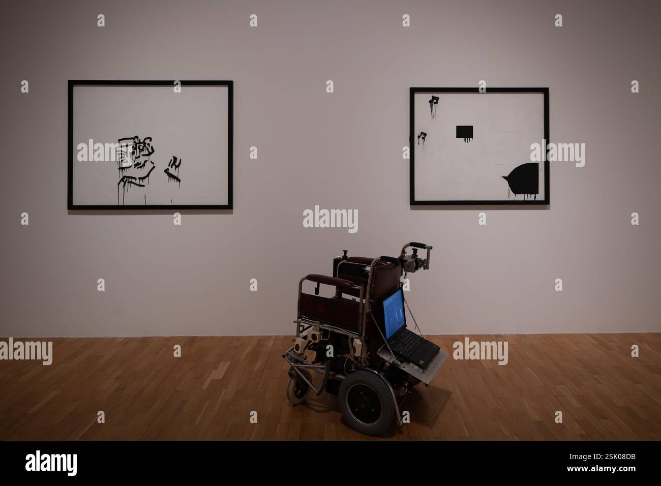 London, UK, 11th February 2025, Donald Rodney: Visceral Canker ...