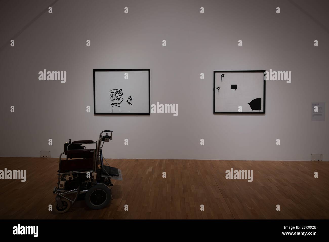 London, UK, 11th February 2025, Donald Rodney: Visceral Canker ...