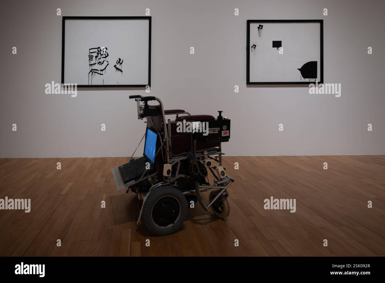 London, UK, 11th February 2025, Donald Rodney: Visceral Canker ...