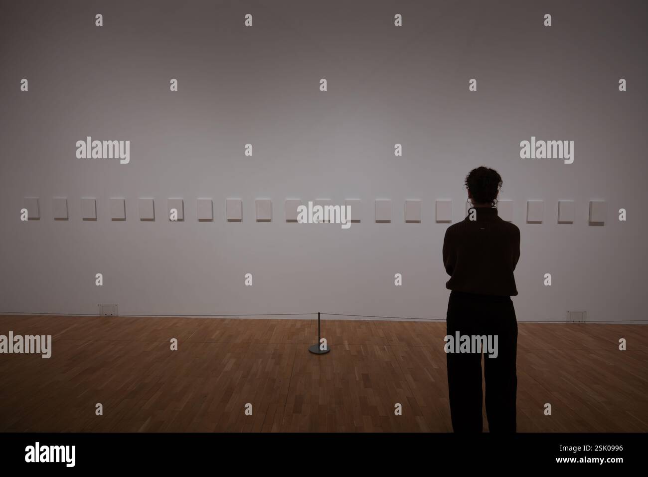 London, UK, 11th February 2025, Donald Rodney: Visceral Canker ...