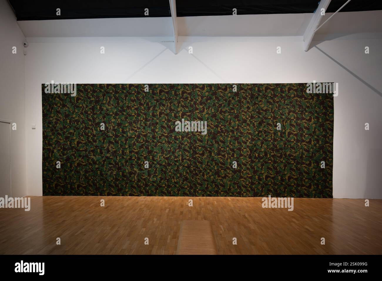 London, UK, 11th February 2025, Donald Rodney: Visceral Canker ...