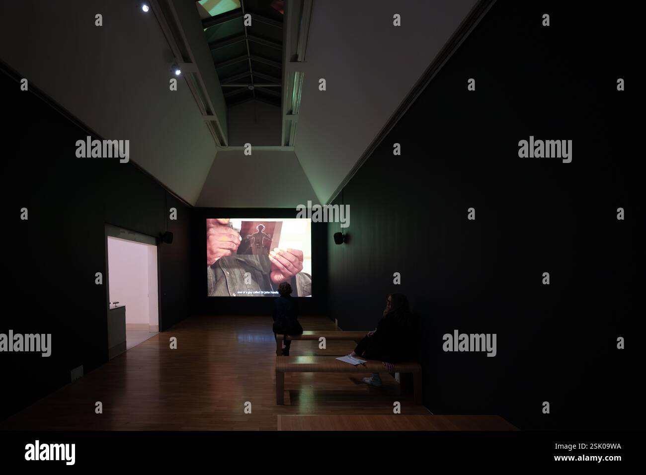 London, UK, 11th February 2025, Donald Rodney: Visceral Canker ...