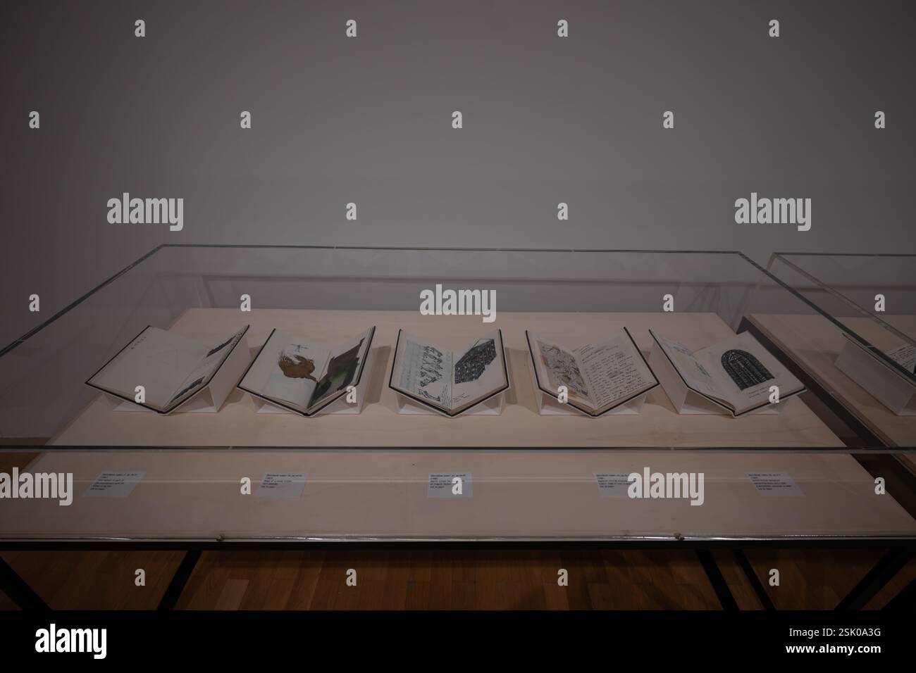 London, UK, 11th February 2025, Donald Rodney: Visceral Canker ...