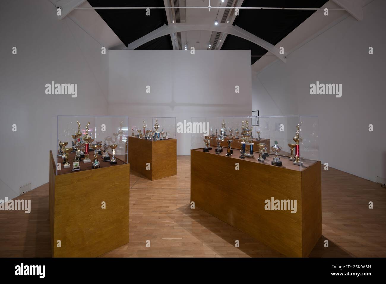 London, UK, 11th February 2025, Donald Rodney: Visceral Canker ...