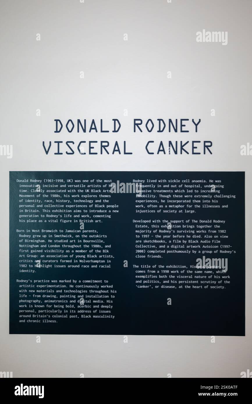 London, UK, 11th February 2025, Donald Rodney: Visceral Canker ...