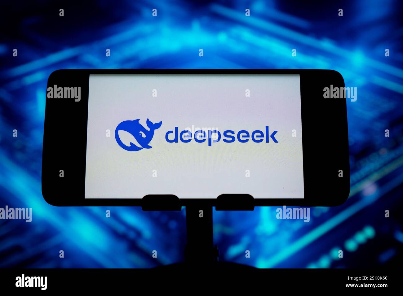 CHONGQING, CHINA - FEBRUARY 11, 2025 - An illustration shows the ...