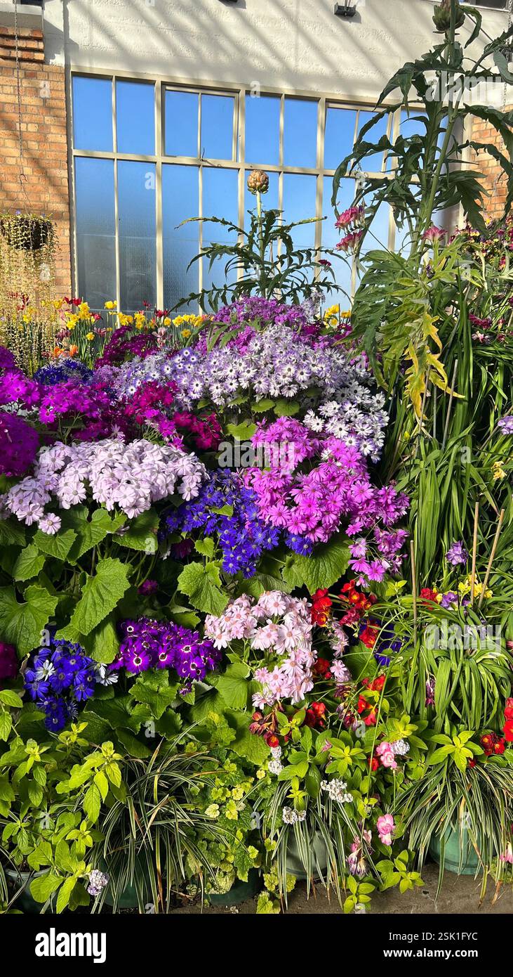 indoor flower garden in auckland Stock Photo - Alamy