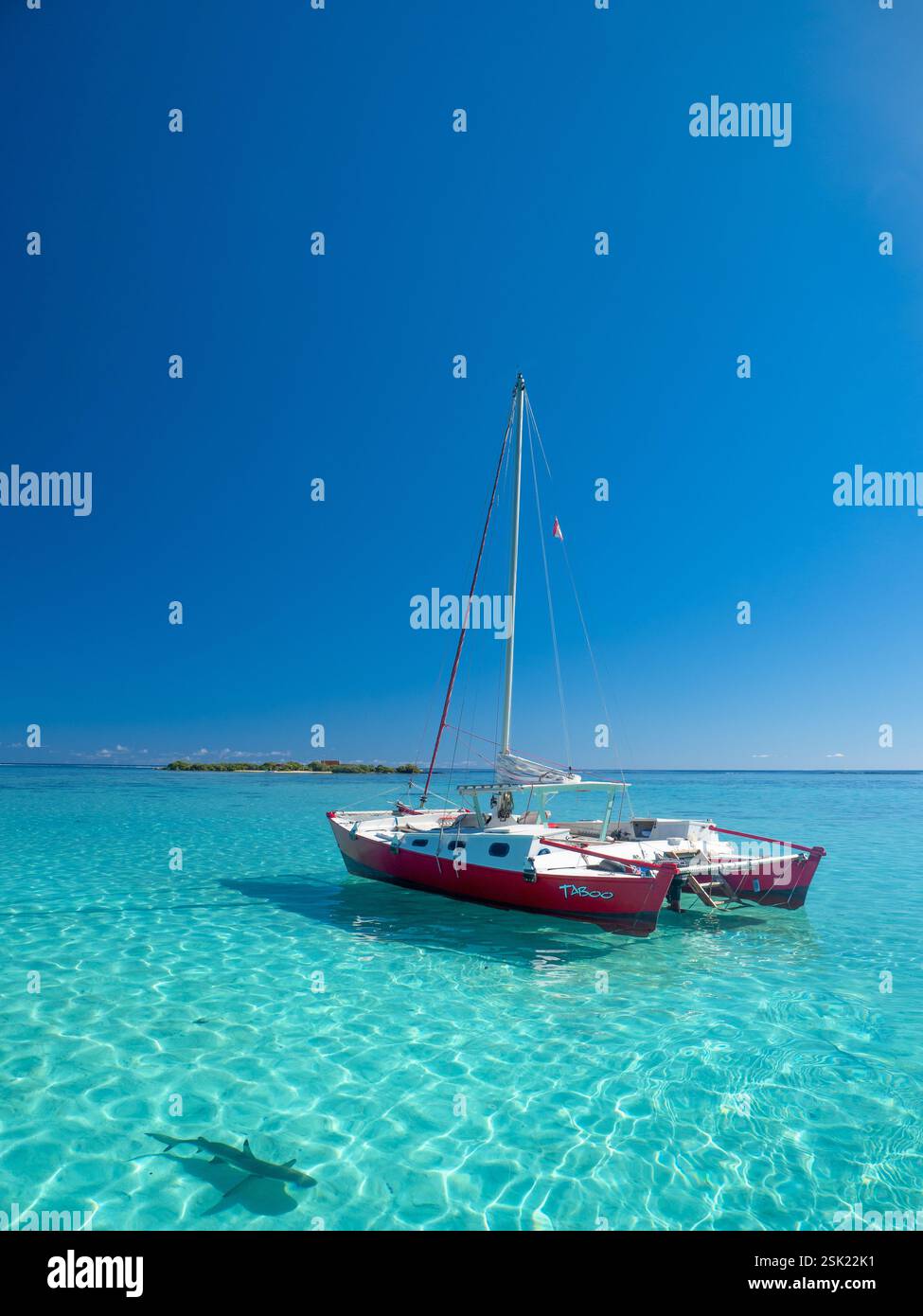 Lagoon in Moorea with reef sharks and stingrays Stock Photo - Alamy