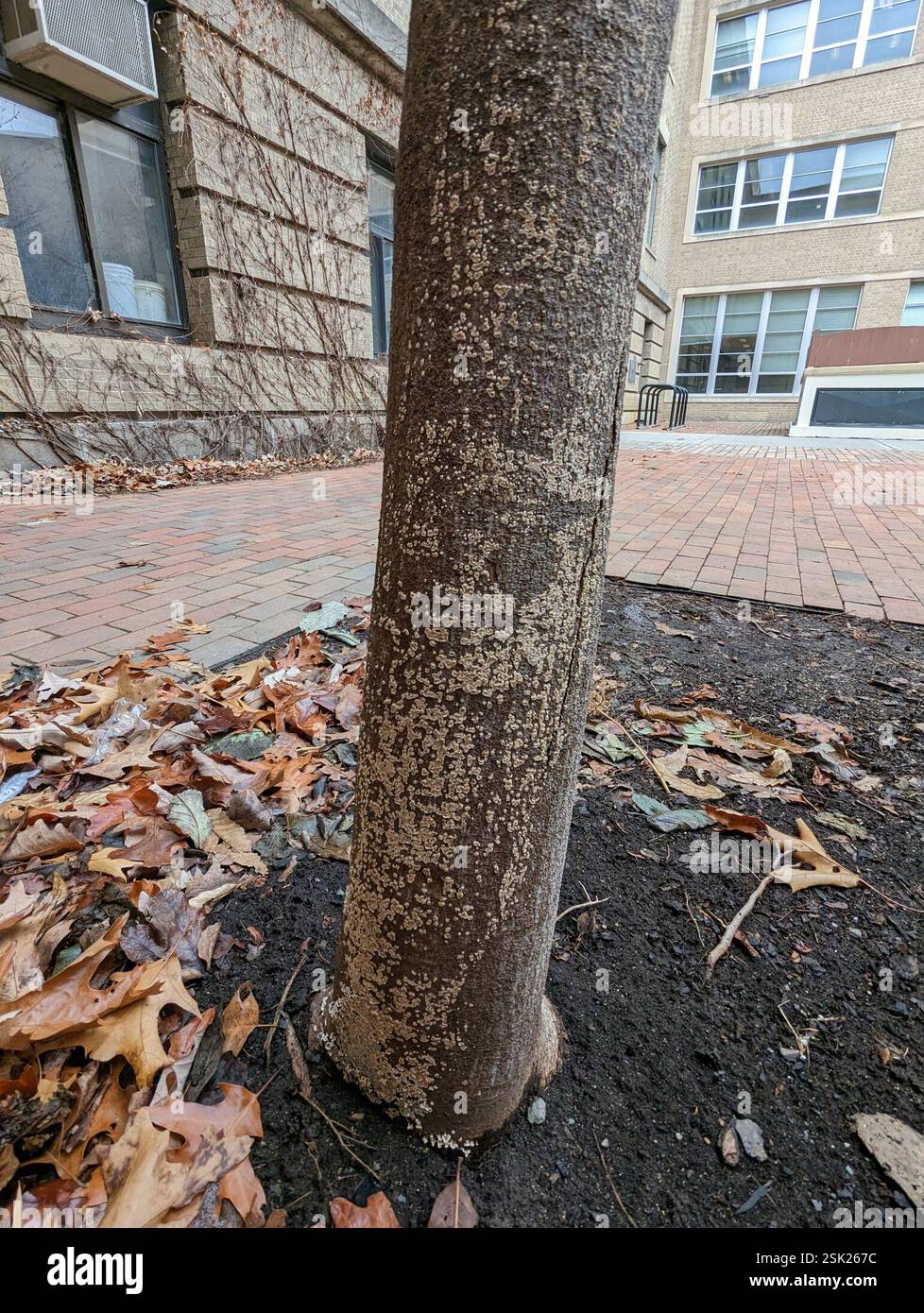 Under scale hi-res stock photography and images - Alamy