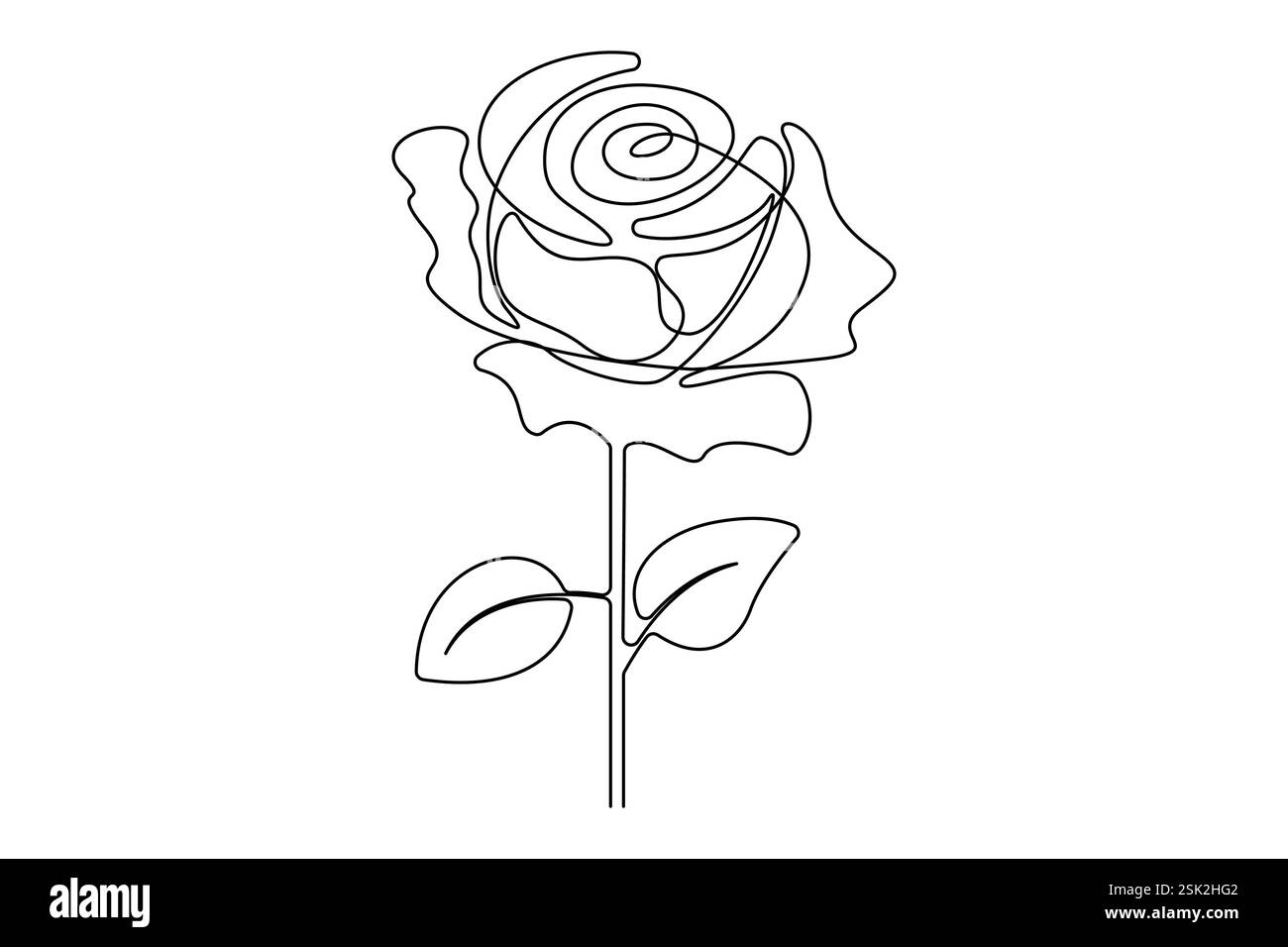 Rose flower single line art hi-res stock photography and images - Alamy