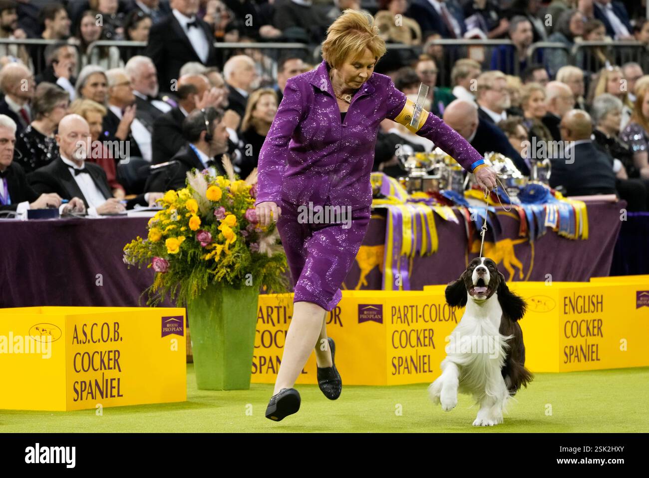 Robin Novack, left, and Freddie, an English Springer Spaniel, compete ...