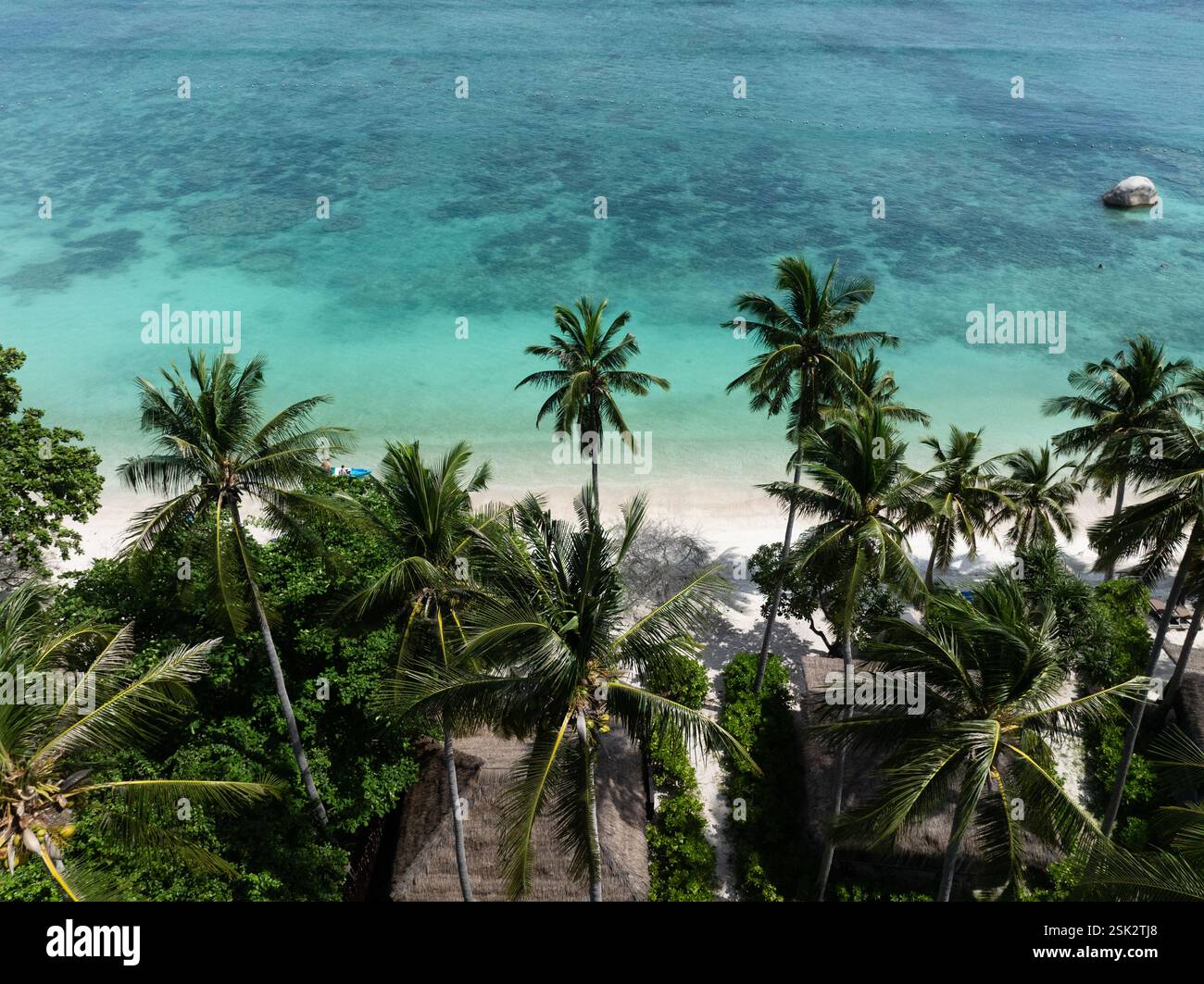 Tall palm trees sway over a sandy beach with turquoise water and coral ...