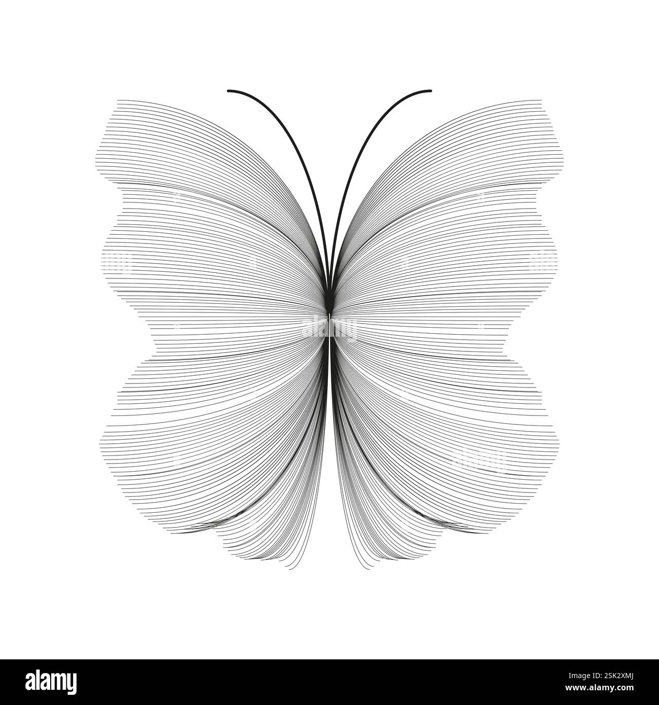 Butterfly icon. Abstract vector shape. Black curved lines. Optical ...