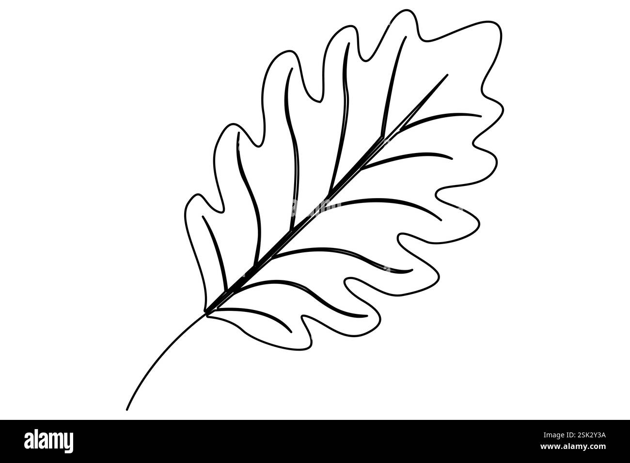 Continuous Line Drawing Of Leaf Single Line Icon outline vector ...