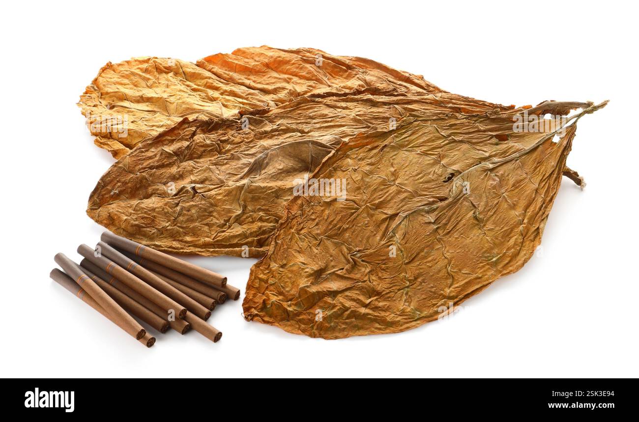 Dried tobacco leaf and cigarettes isolated on white Stock Photo - Alamy