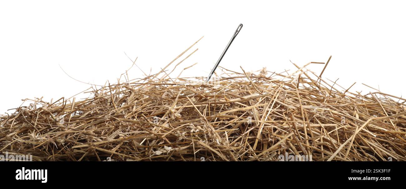 Sewing needle in haystack on white background Stock Photo - Alamy