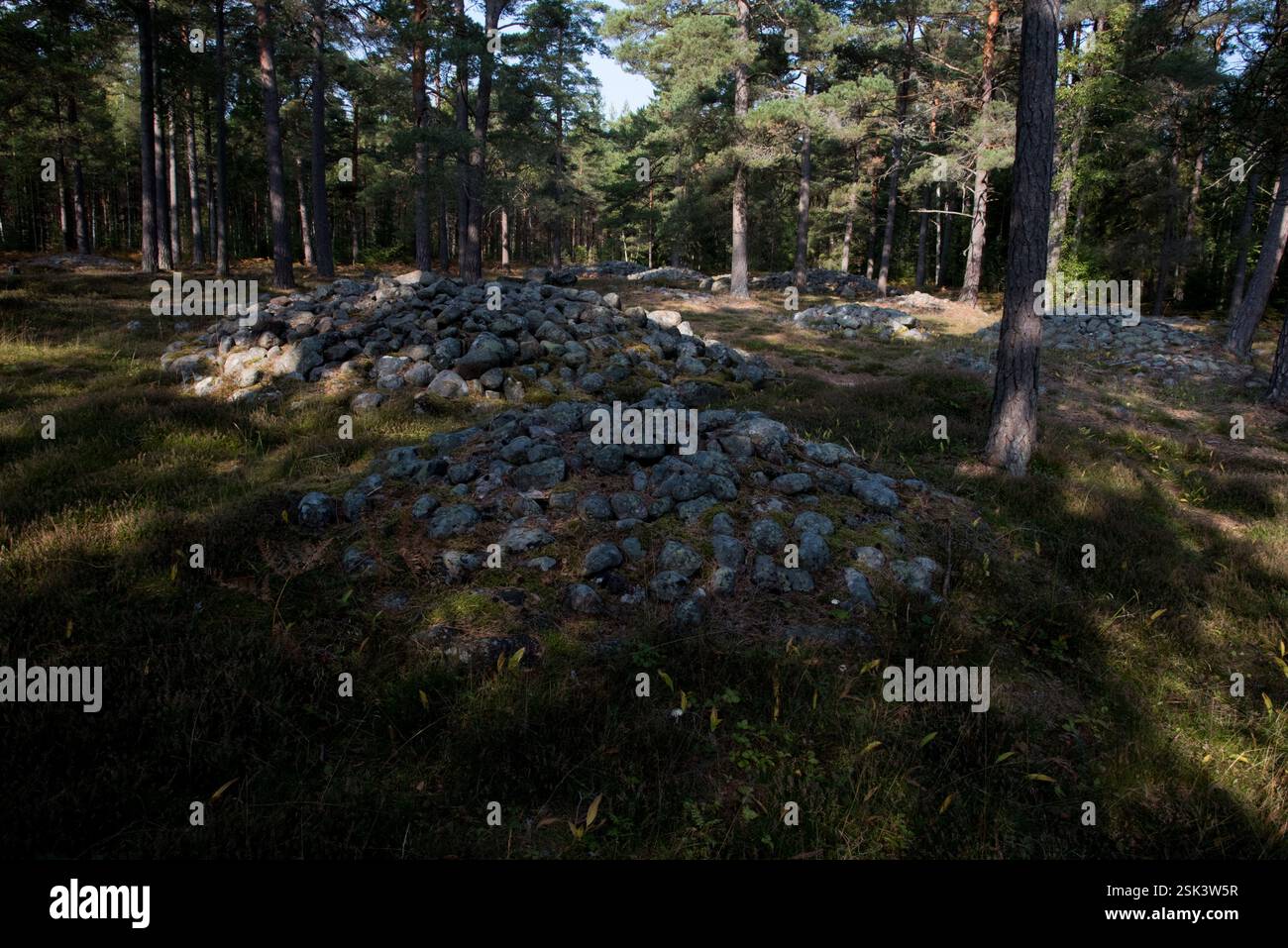 Trullhalsar grave field on the Swedish island Gotland is from Vendel ...