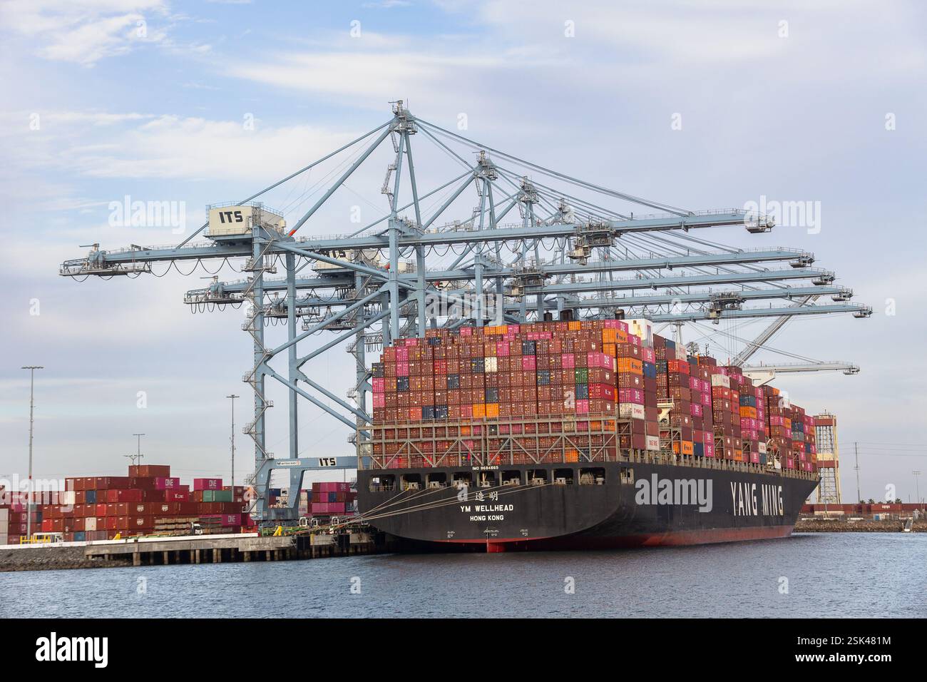 The fully loaded Yang Ming cargo ship, Wellhead, from Hong Kong ...