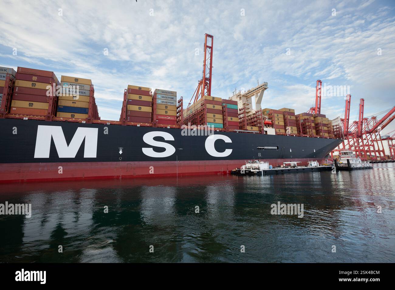 The MSC Arina cargo ship berthed at the Port of Long Beach, Long Beach ...