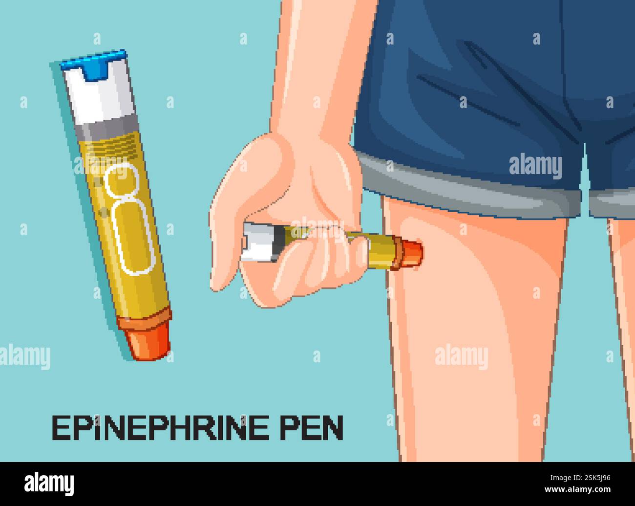 Illustration of an epinephrine pen in hand Stock Vector Image & Art - Alamy