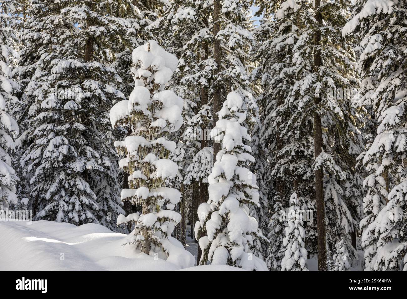Washingtons central cascades hi-res stock photography and images - Alamy
