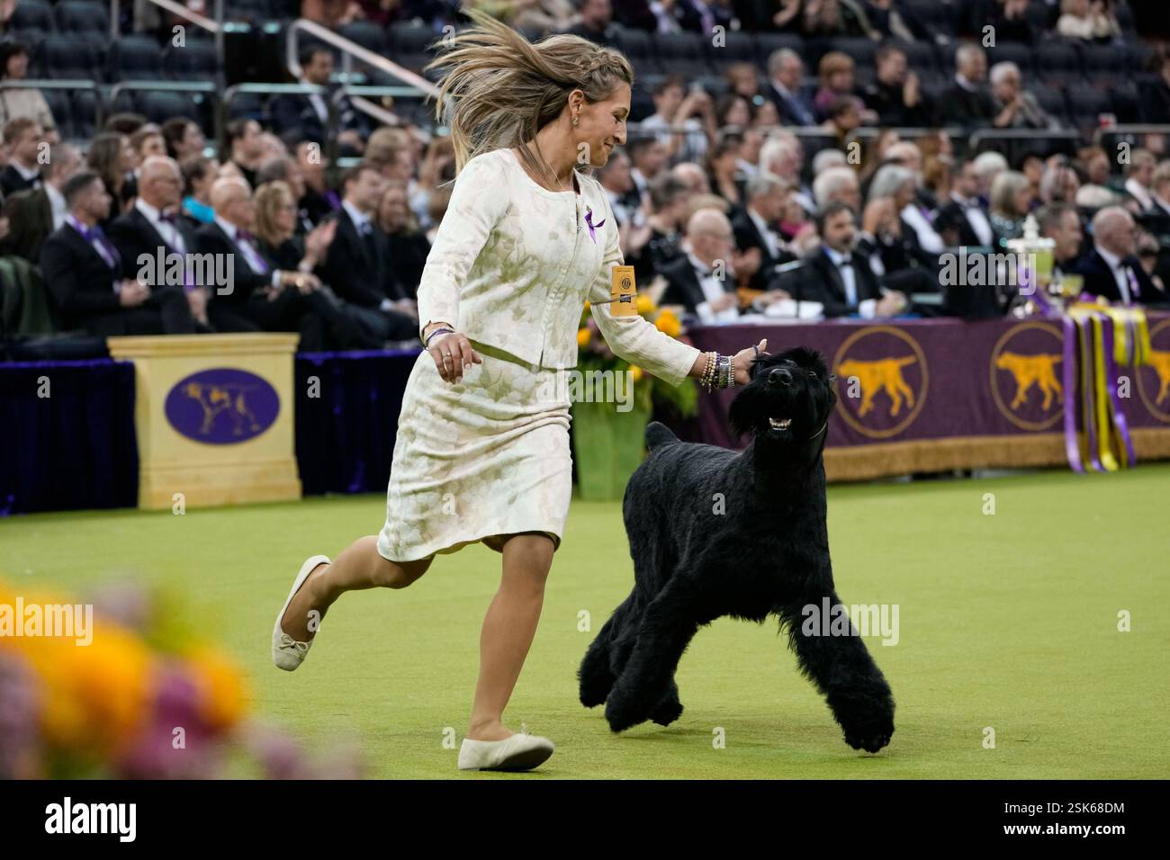 Katie Bernardin and Monty, a Giant Schnauzer, compete in the best in ...