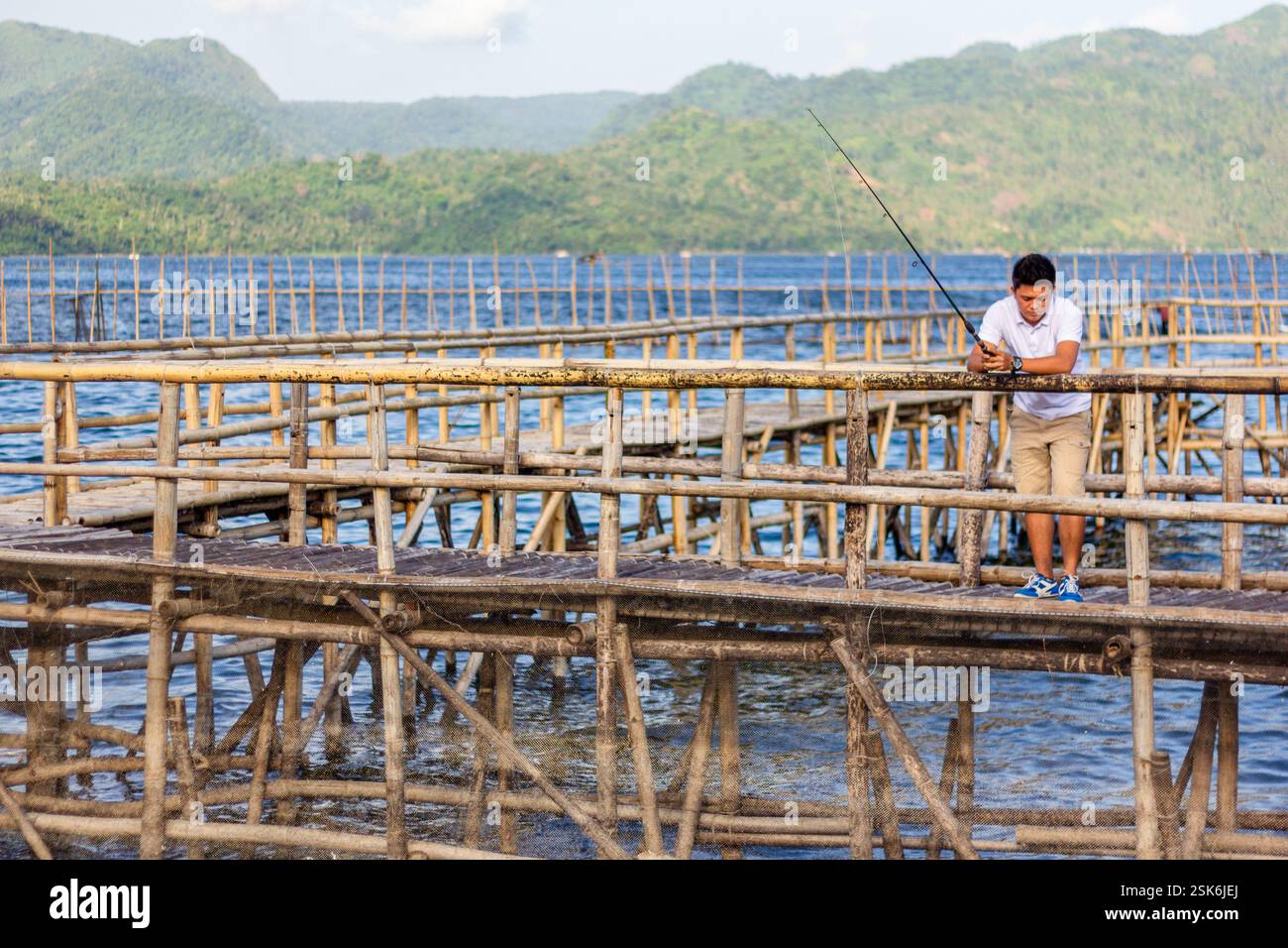 Young Filipino man in a white shirt fishing at a tilapia farm in Lake ...