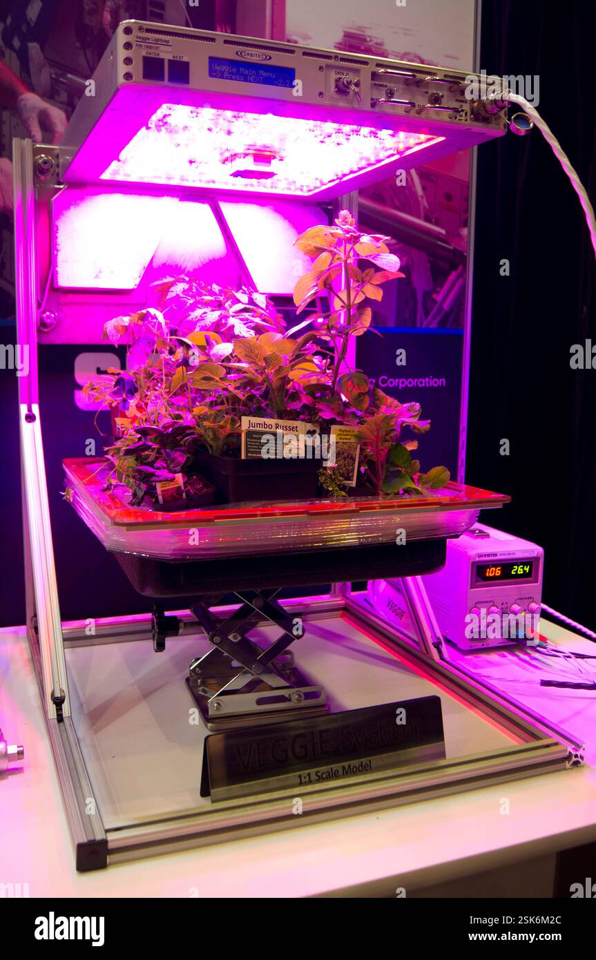 A full-size model of the Veggie plant growth experiment deployed on the ...
