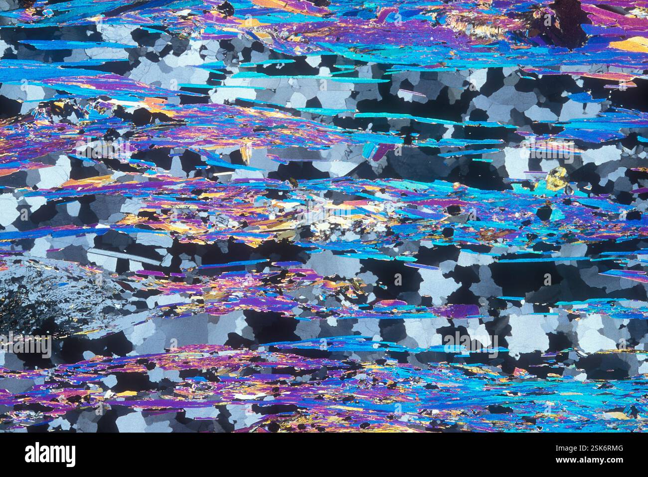 Mica schist. Polarised light micrograph of a thin section of mica ...