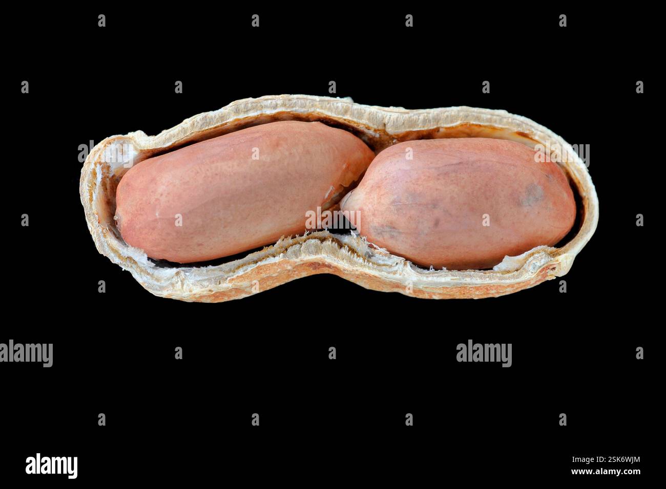 Peanuts in shell. These are the seeds of the groundnut plant (Arachis ...