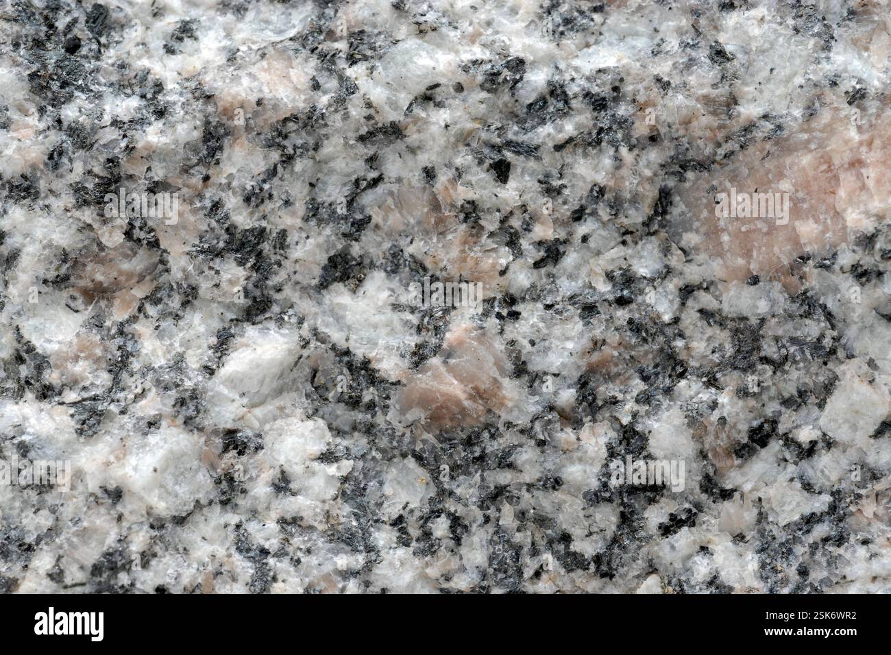 Granite. Close-up of the surface of a granite rock. Granite is a ...