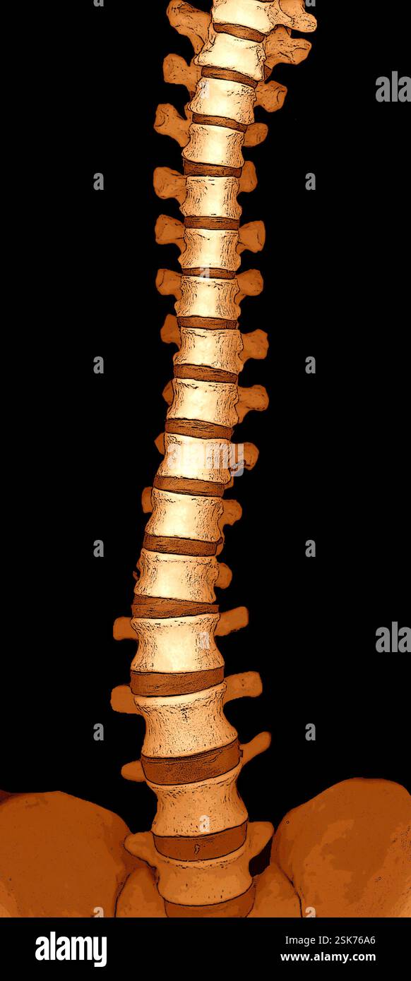 Skin layers, light micrograph Stock Photo - Alamy