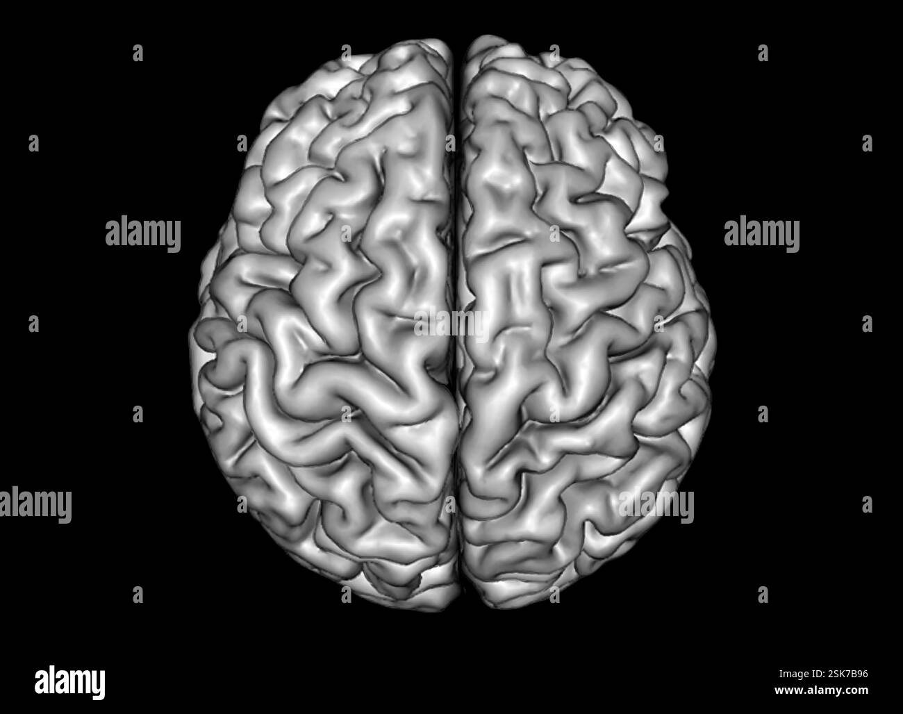 Human brain. Three-dimensional (3D) Magnetic Resonance Imaging (MRI ...