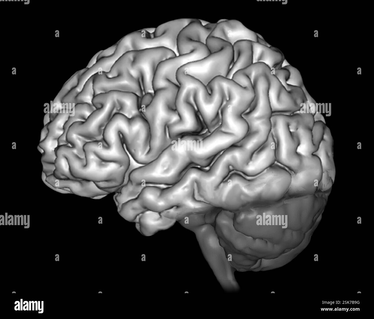 Human brain. Three-dimensional (3D) Magnetic Resonance Imaging (MRI ...
