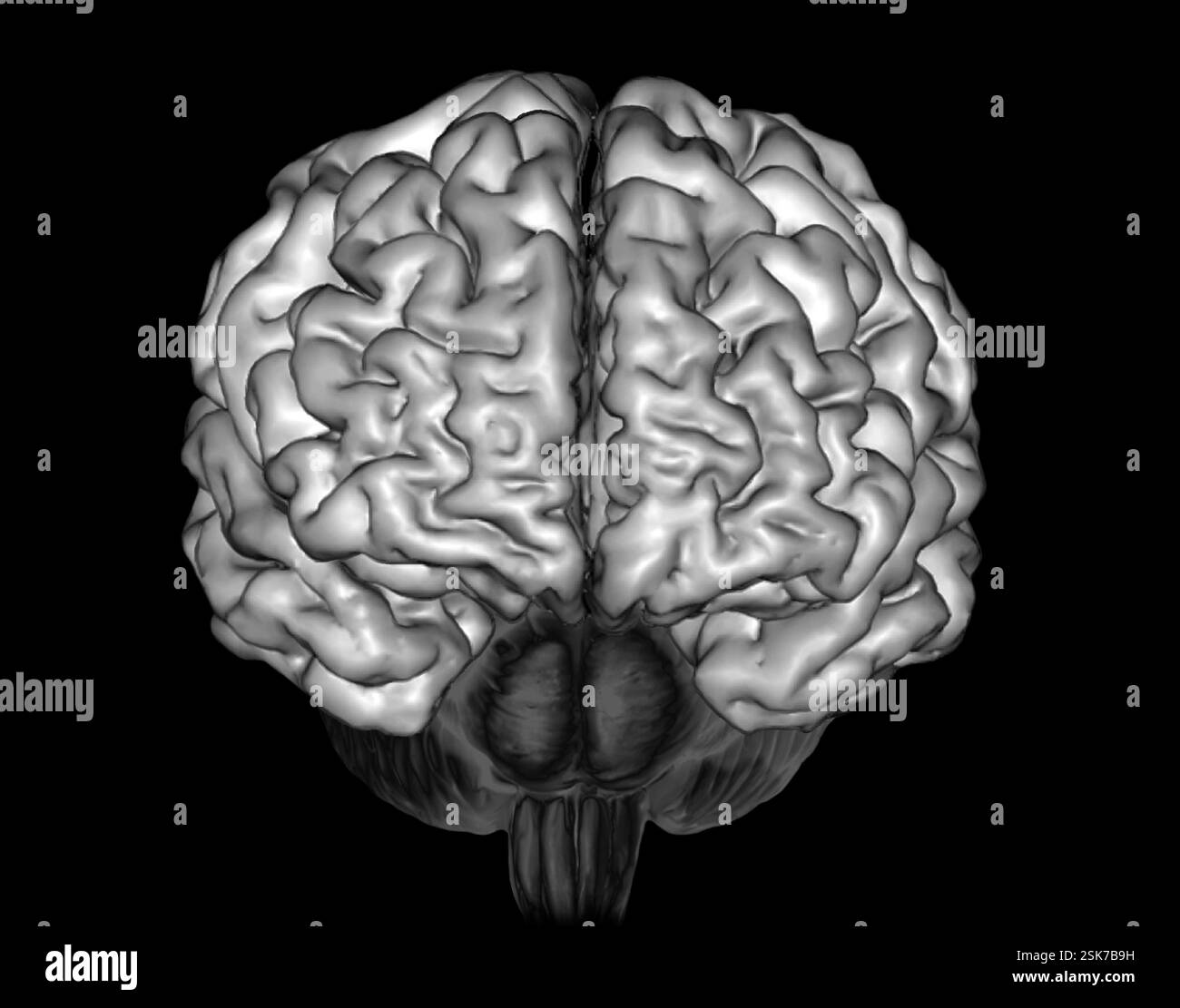 Human brain. Three-dimensional (3D) Magnetic Resonance Imaging (MRI ...