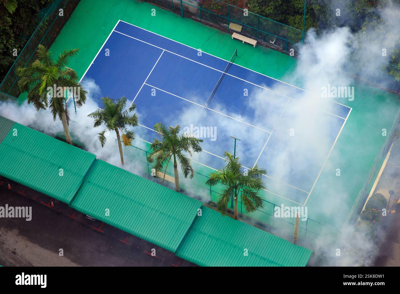 Fogging is a technique used for killing insects that involves using a ...