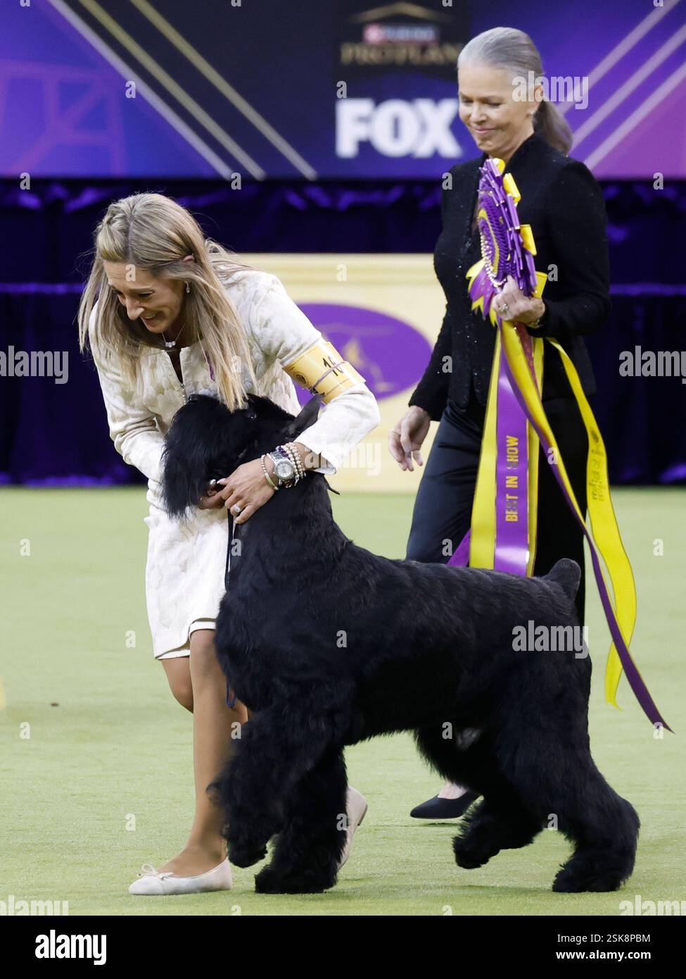 New York, United States. 12th Feb, 2025. Handler Katie Bernardin ...