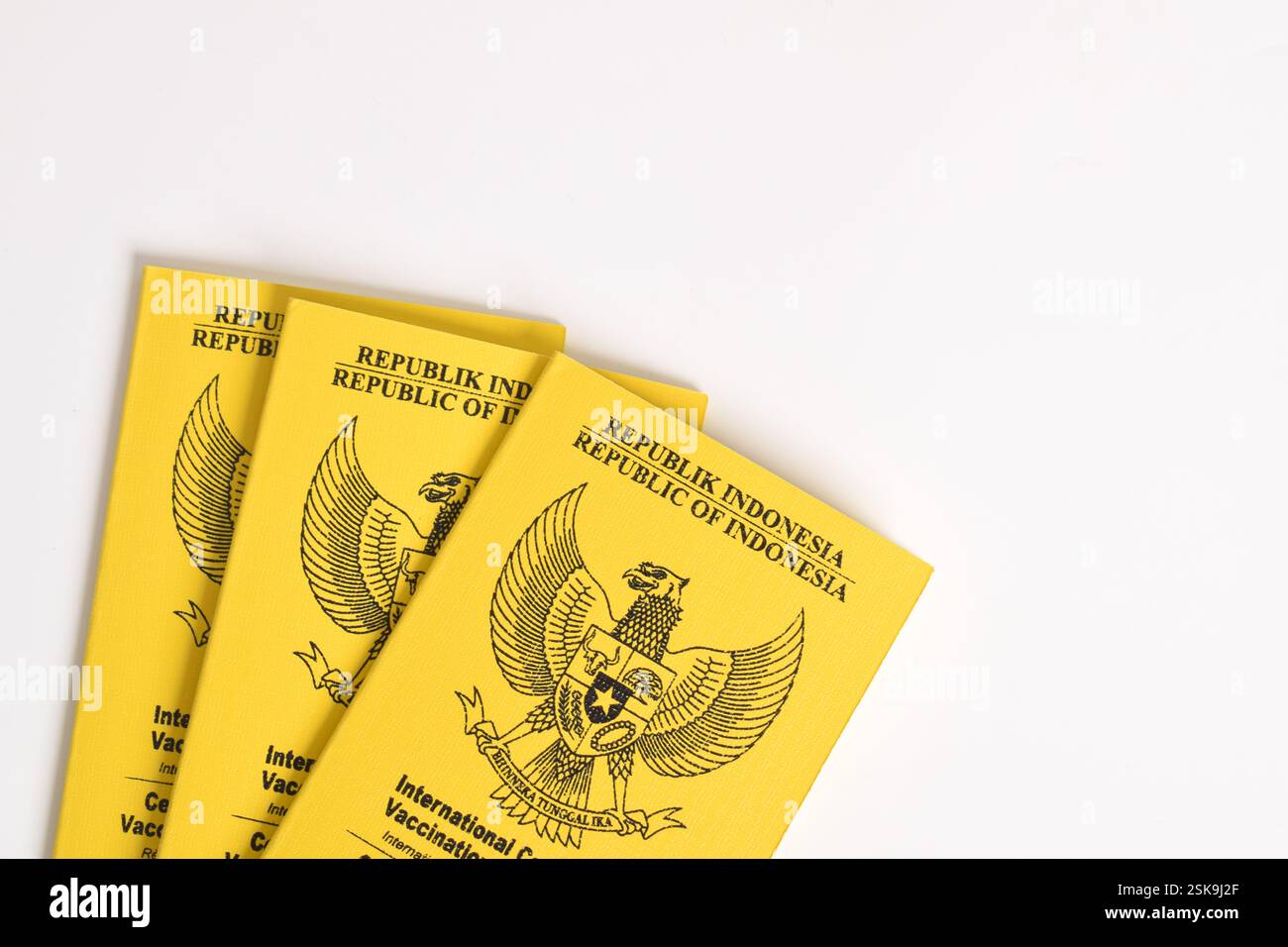 Indonesian International Vaccination or Prophylaxis Certificate Book ...