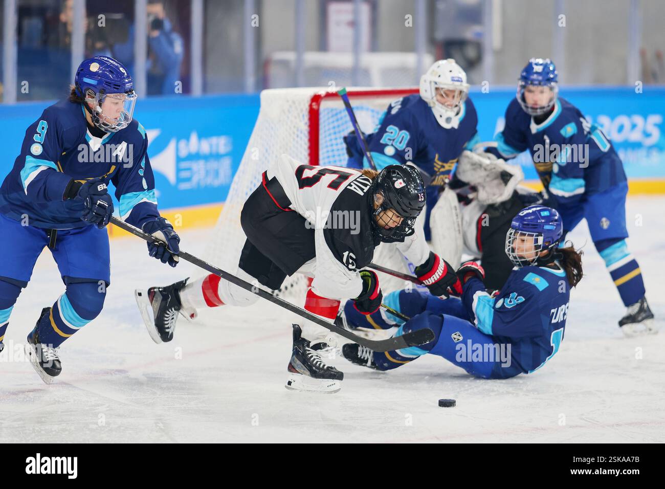 Harbin, China. 12th Feb, 2025. Rui Ukita (JPN) Ice Hockey : Women's ...