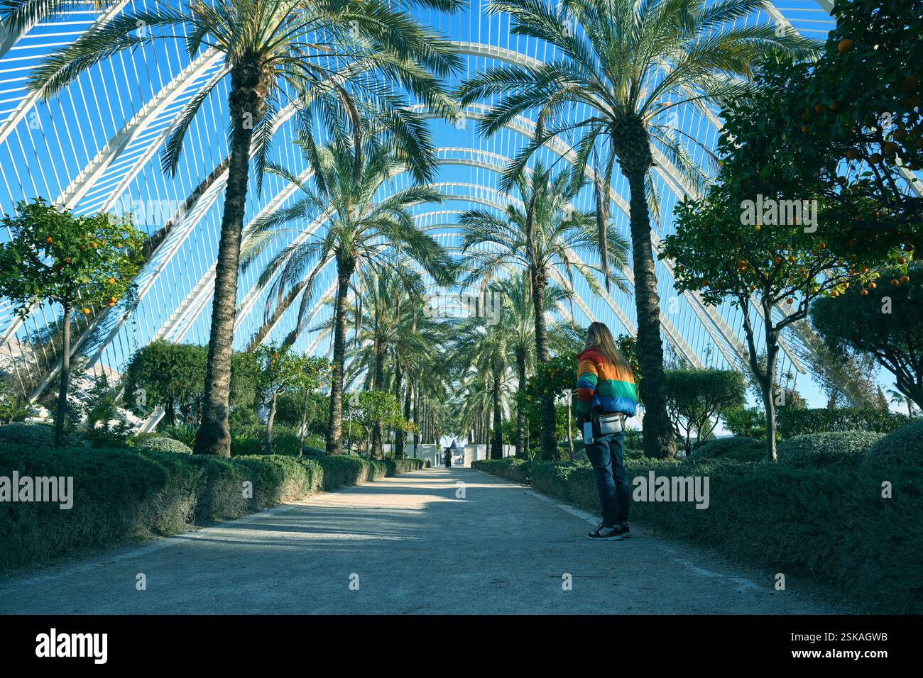 Buildings of the City of Arts and Sciences are seen in Valencia, Spain ...