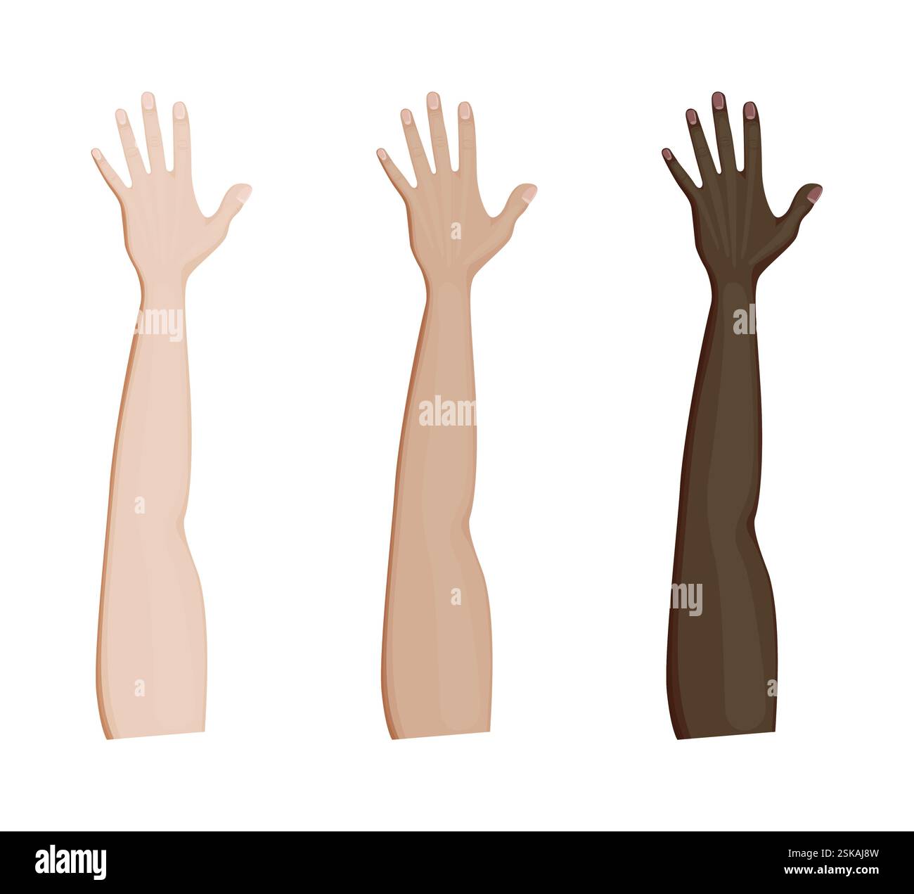 Front side of arms vector illustration design Stock Vector Image & Art ...