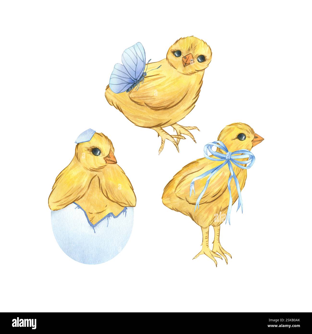 Easter chickens in eggshells with a butterfly and a bow, isolated clip ...