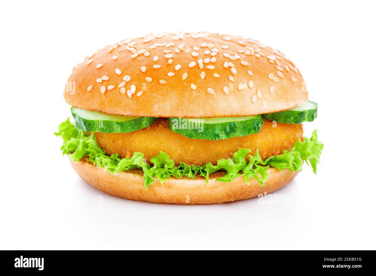 Crispy chicken burger with fresh lettuce and sliced cucumbers served on ...
