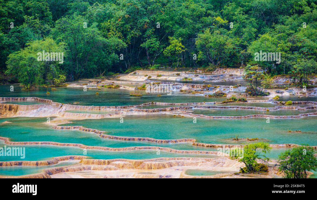 Sichuan Huanglong Yaochi and Spruce Forest Stock Photo - Alamy
