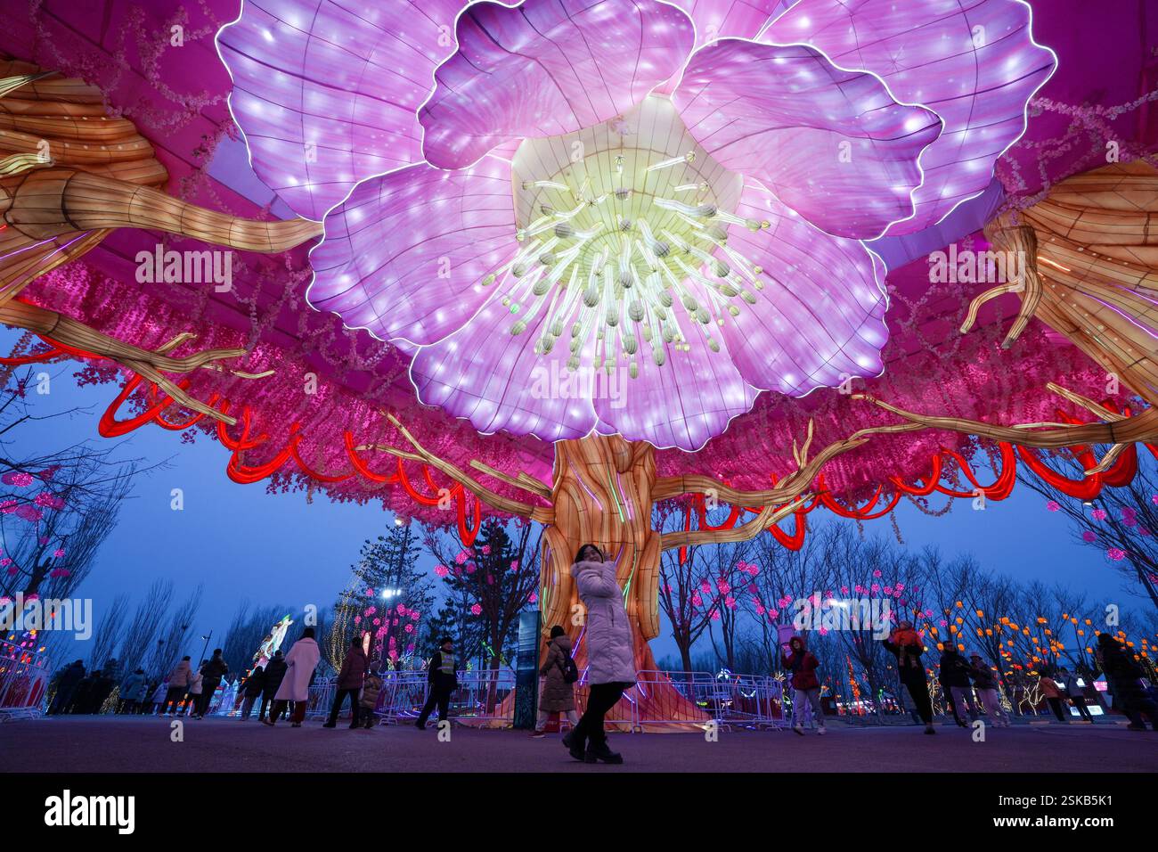 Beijing, China. 11th Feb, 2025. People visit a lantern fair at Beijing ...