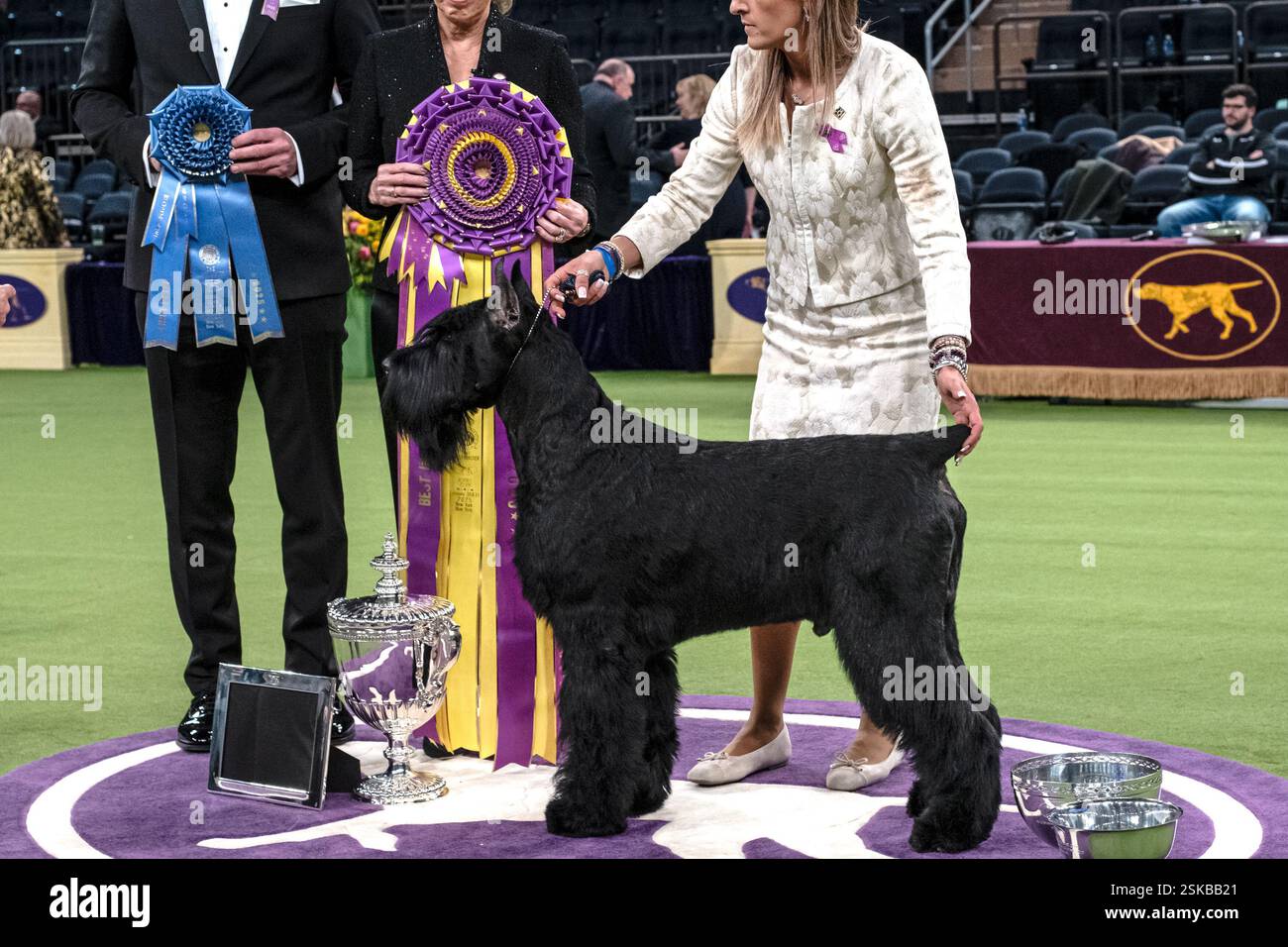 Monty, the Giant Schnauzer wins Best in Show with handler Kate Bernadin ...