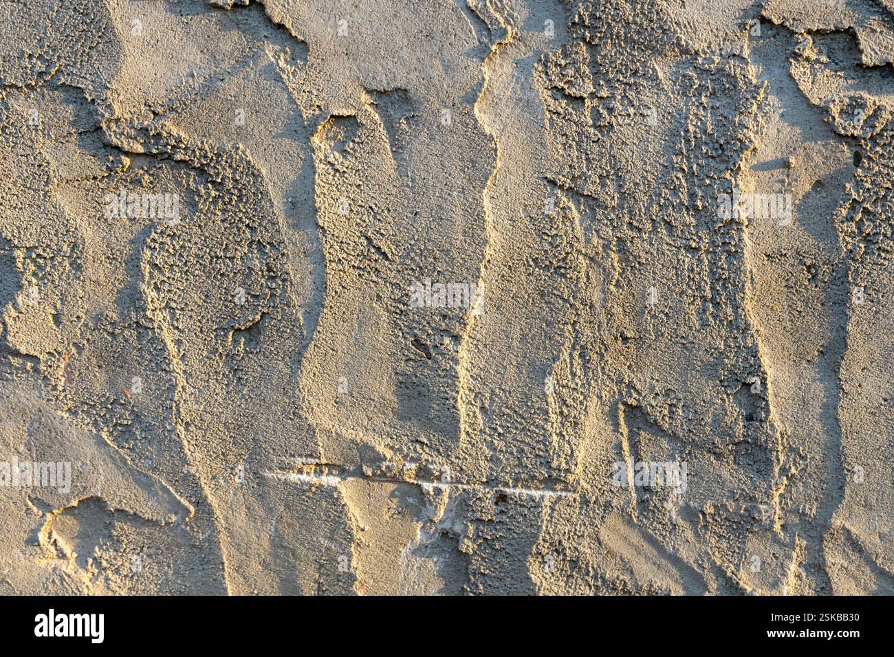 A textured sandy surface displays intricate patterns formed by natural ...