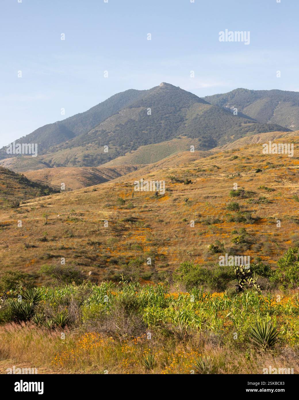 Mountains and fields in the Oaxaca Valley in Mexico Stock Photo - Alamy